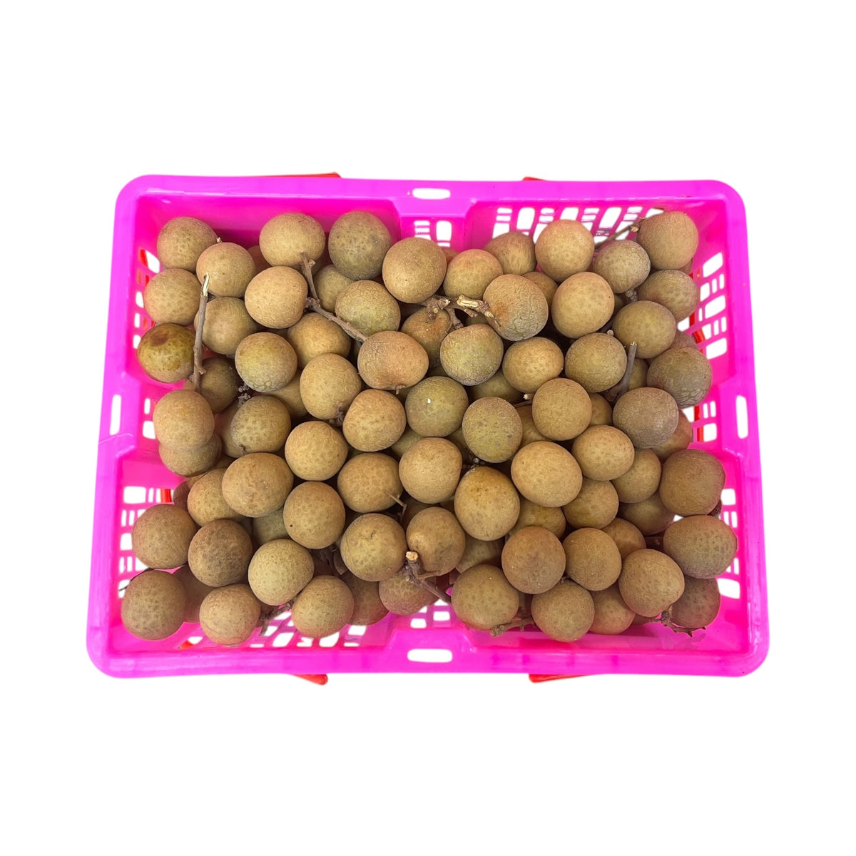 Special offer [Thailand] Longan gift box 1 box 5 pounds – Truly Fresh ...